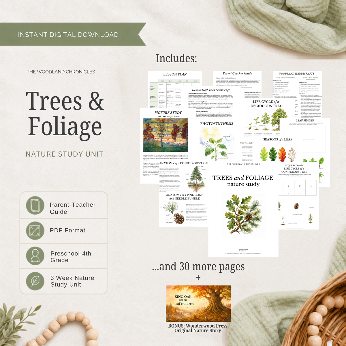 Trees & Foliage Nature Study Unit – Wonderwood Press